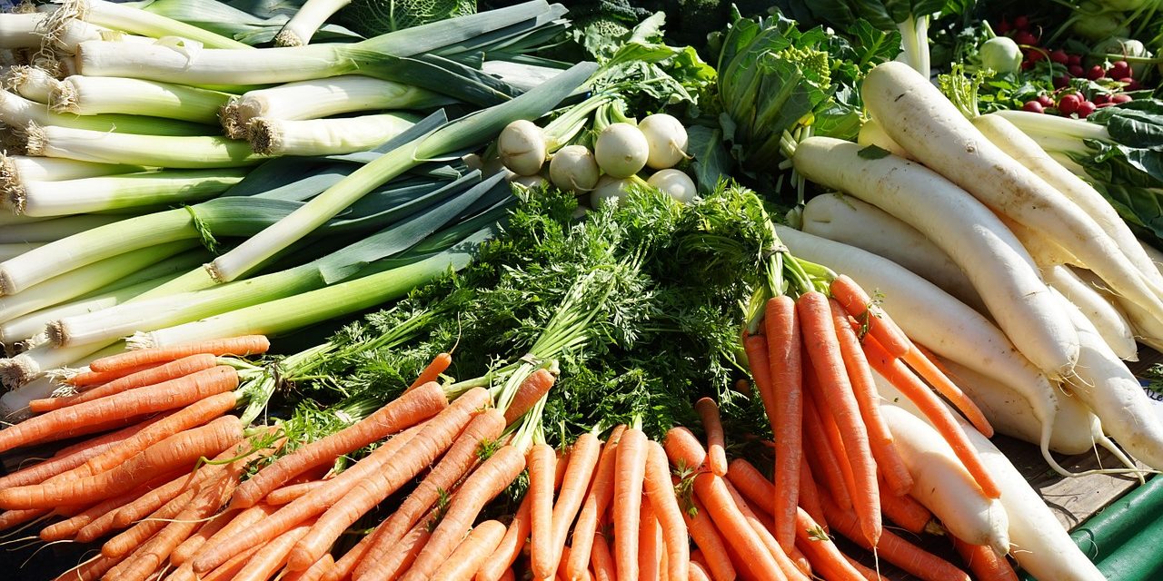 Kostfibre - hvad er det, og hvorfor skal vi spise dem? - Carrotstick.dk